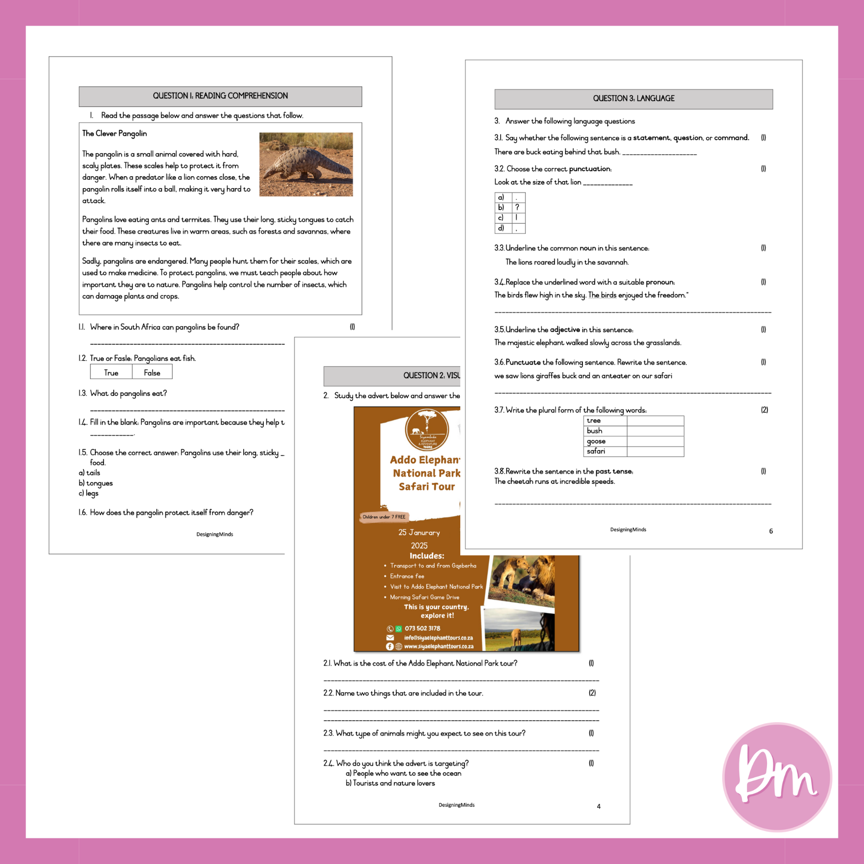 Grade 5 English First Additional Language Term 1 Test 2 – Designing Minds