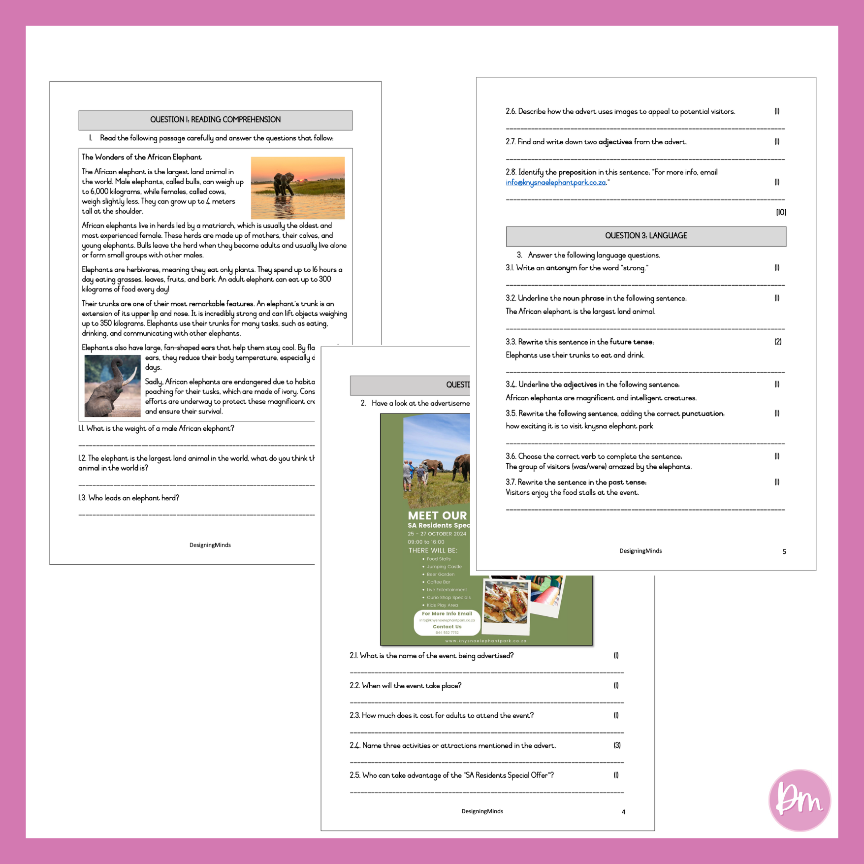 Grade 5 English Home Language Term 1 Test 2 – Designing Minds
