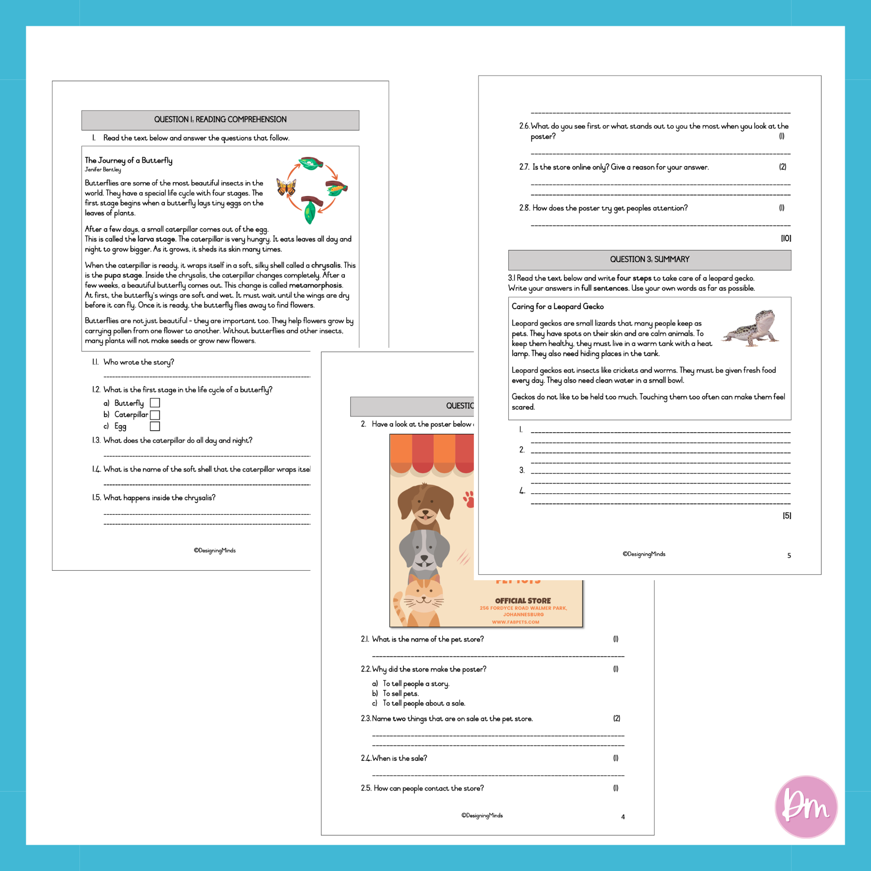 Grade 4 English First Additional Language November Test – Designing Minds