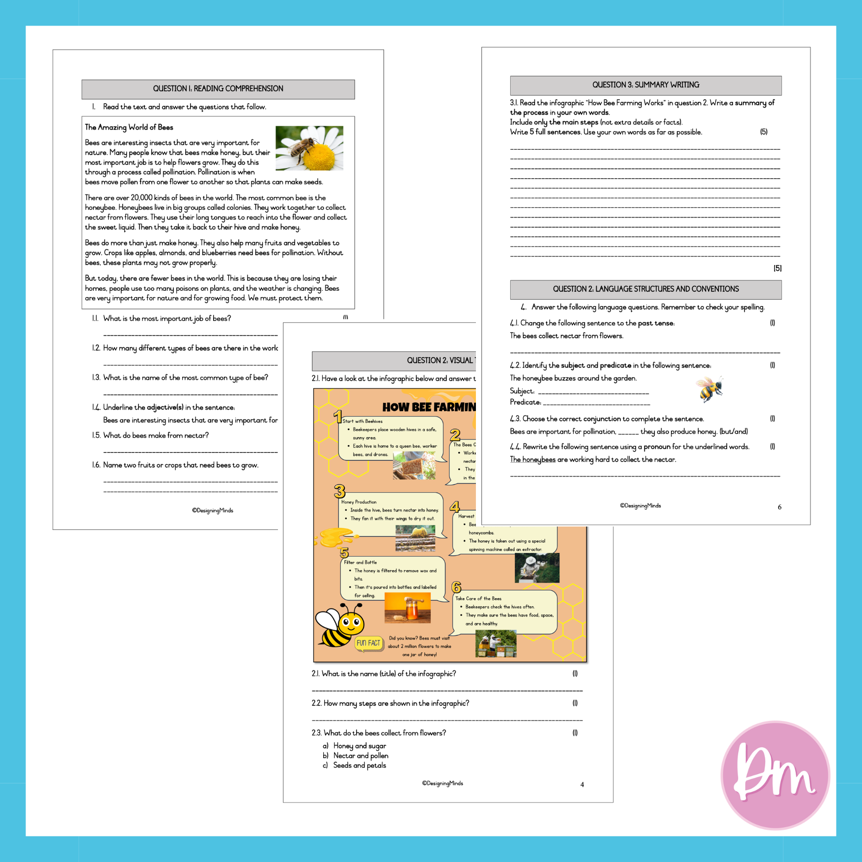 Grade 5 English First Additional Language November Test – Designing Minds